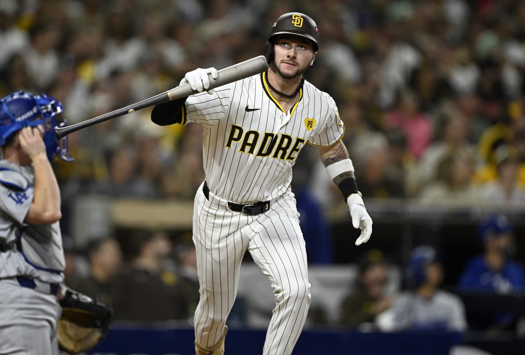 Outfield 2025 Fantasy Rankings | RotoGraphs Fantasy Baseball